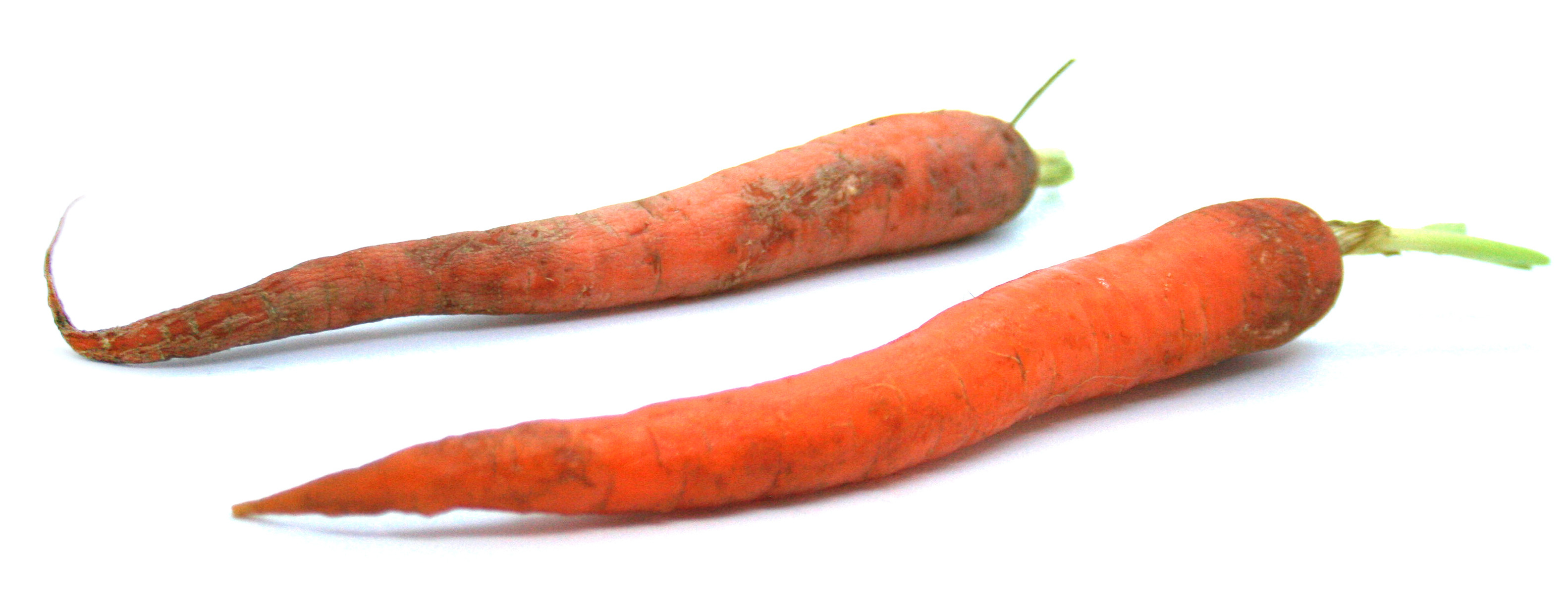 TIL How To Salvage old, Squishy Carrots
