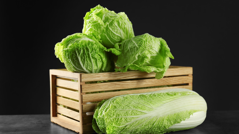 11 Different Types Of Cabbage And How To Use Them
