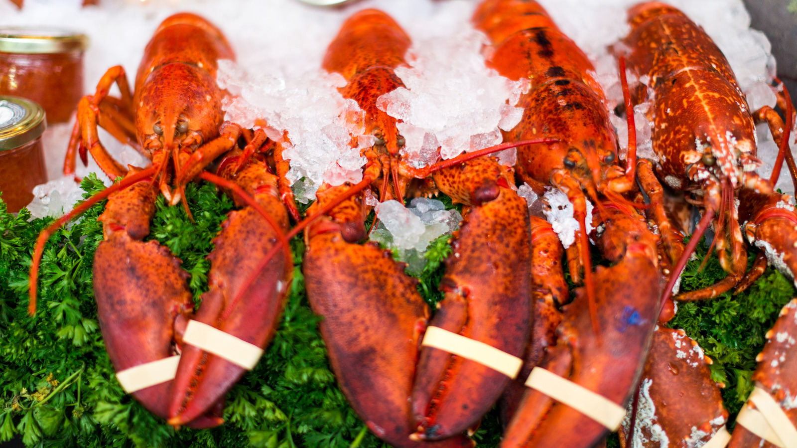 A Crustacean Case For The FBI: $400k Worth Of Lobsters Hijacked En ...