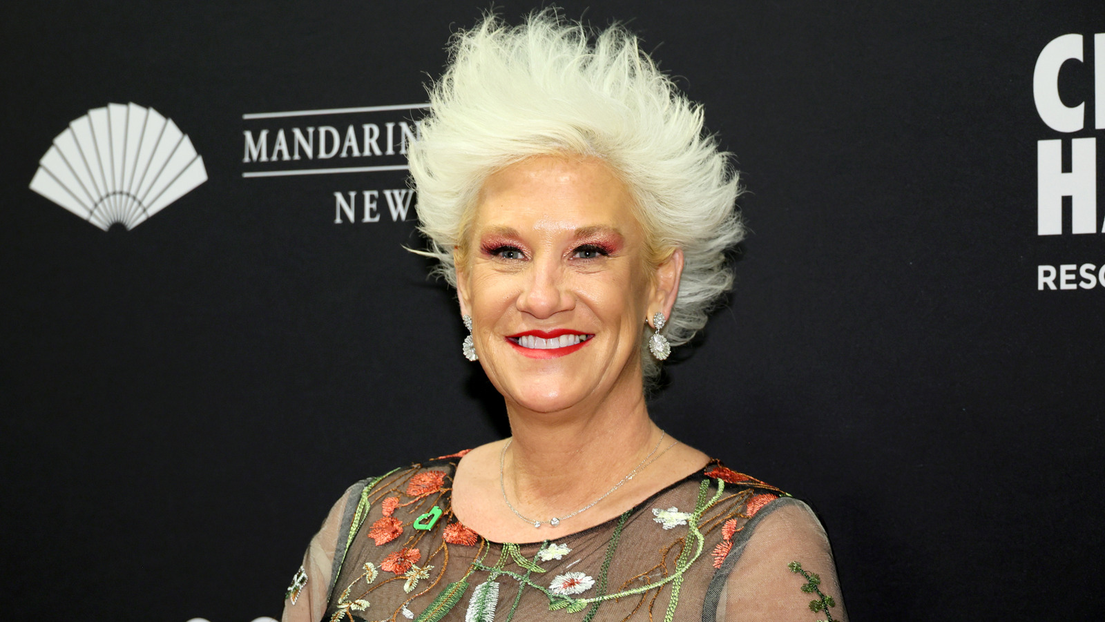 Anne Burrell's Transformation Over The Years
