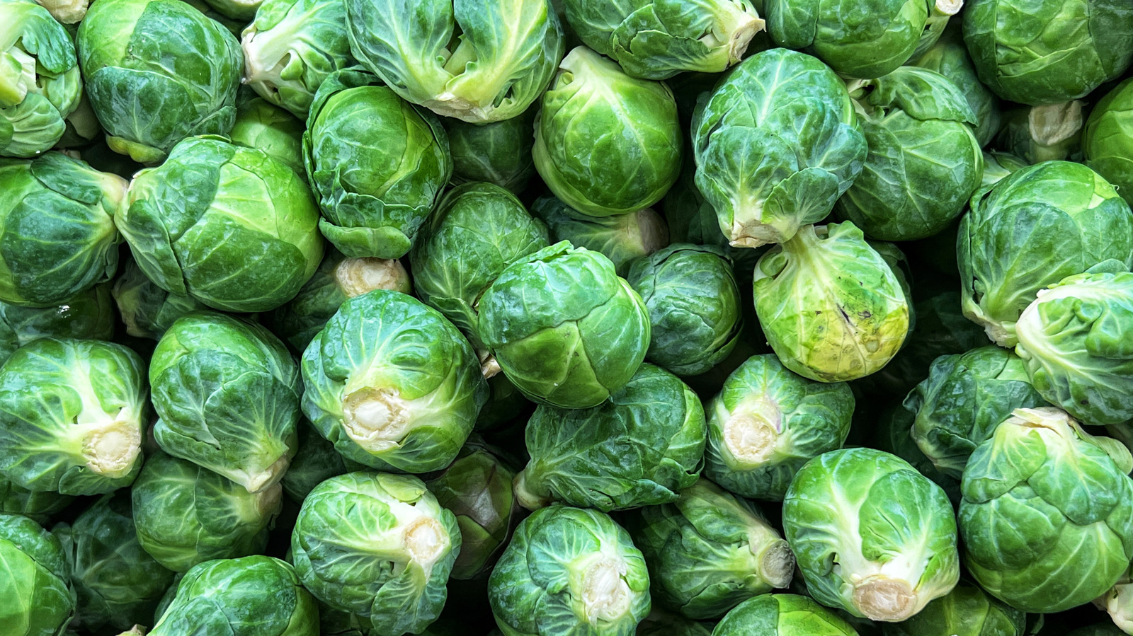 Are Brussels Sprouts Technically Just Mini Cabbages?