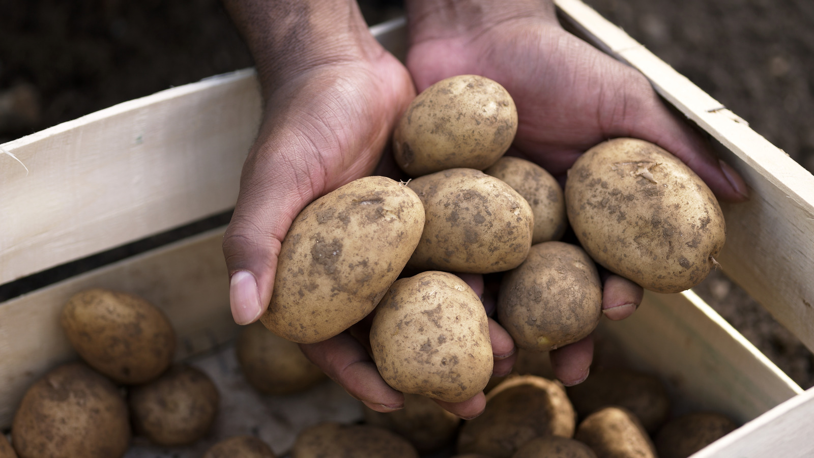 Is It Ever Okay To Eat Raw Potatoes?