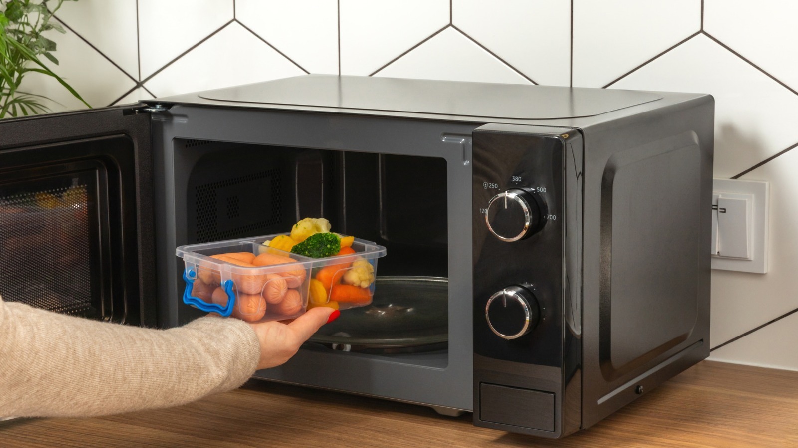 Do You Really Need A Microwave? Here's How The Alternatives Stack Up