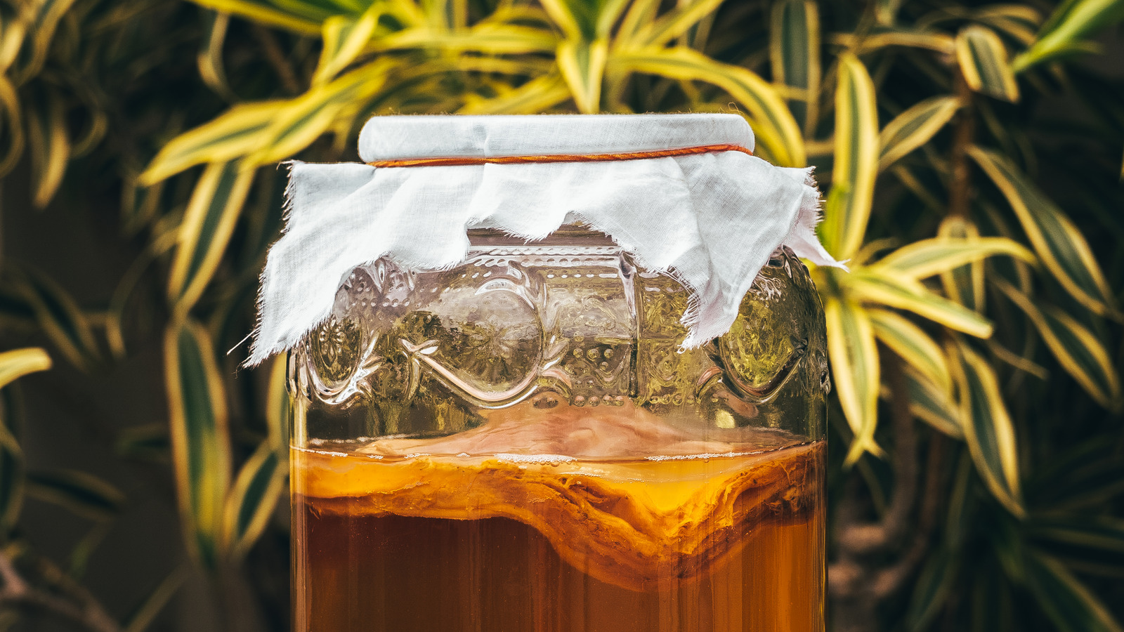 Here's How Long Kombucha Stays Good After Opening