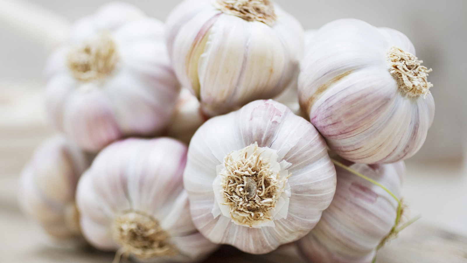 Here's How To Make Sure That You Are Always Buying The Best Garlic