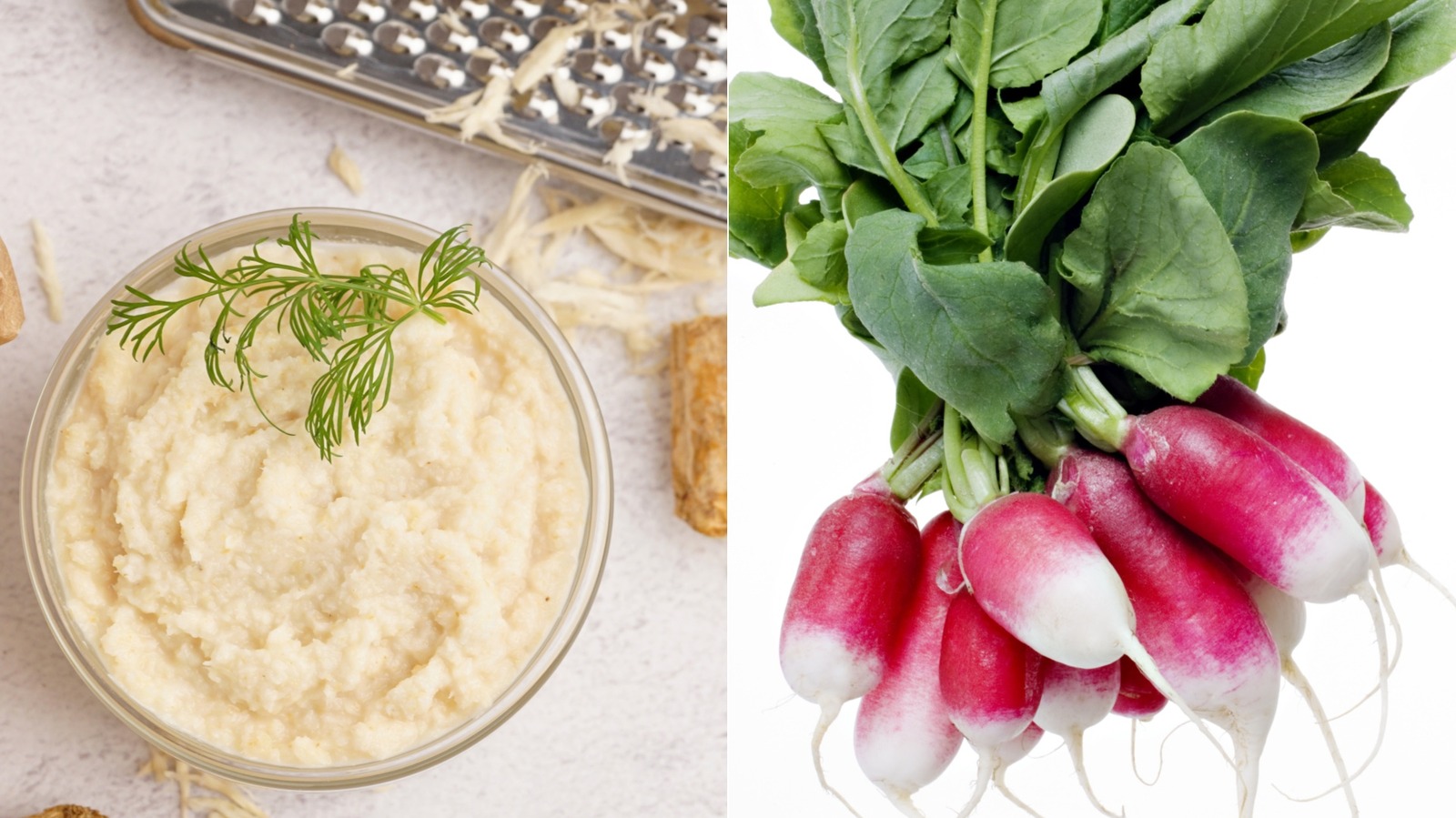 Horseradish Vs Radish: What's The Difference?