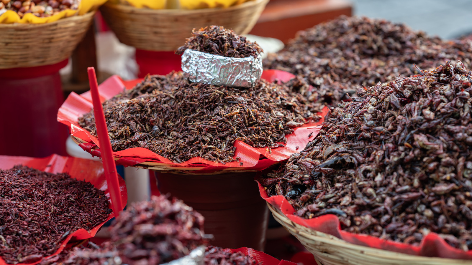 How Fried Grasshoppers Became A Staple Snack In Mexico