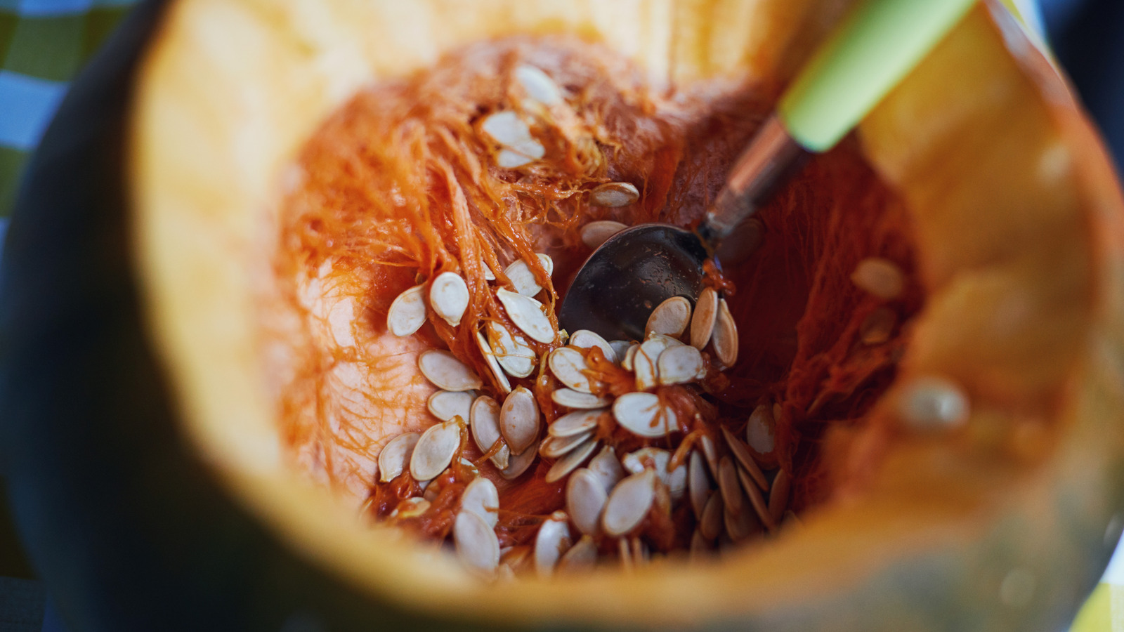 Inspiring How To Separate Pumpkin Seeds From Pulp Gallery
