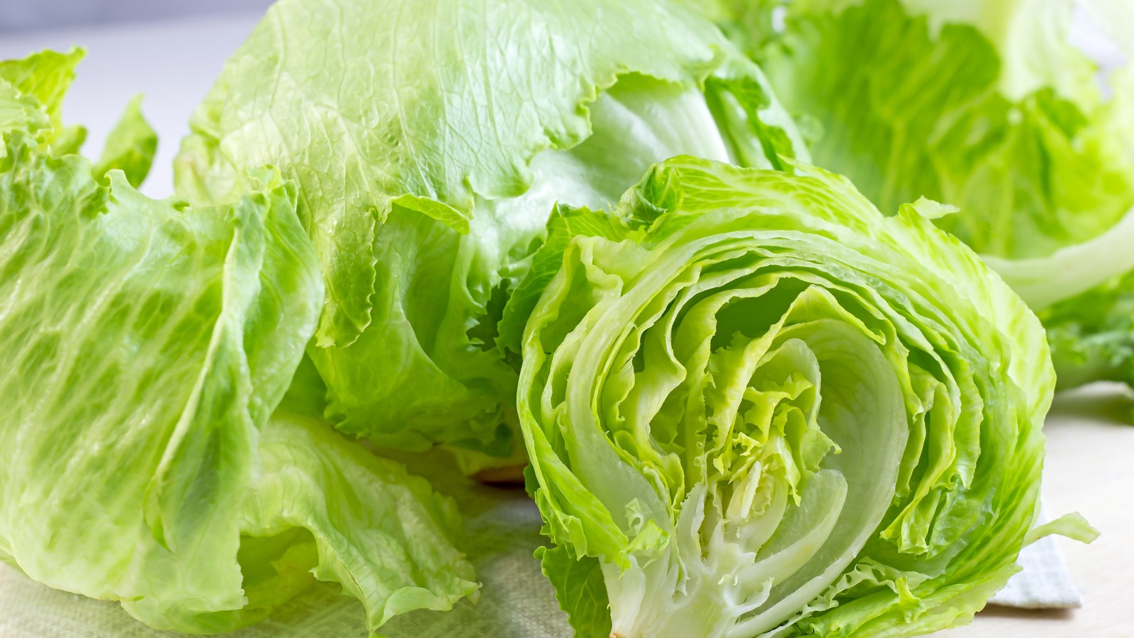 How To Store Iceberg Lettuce In The Fridge