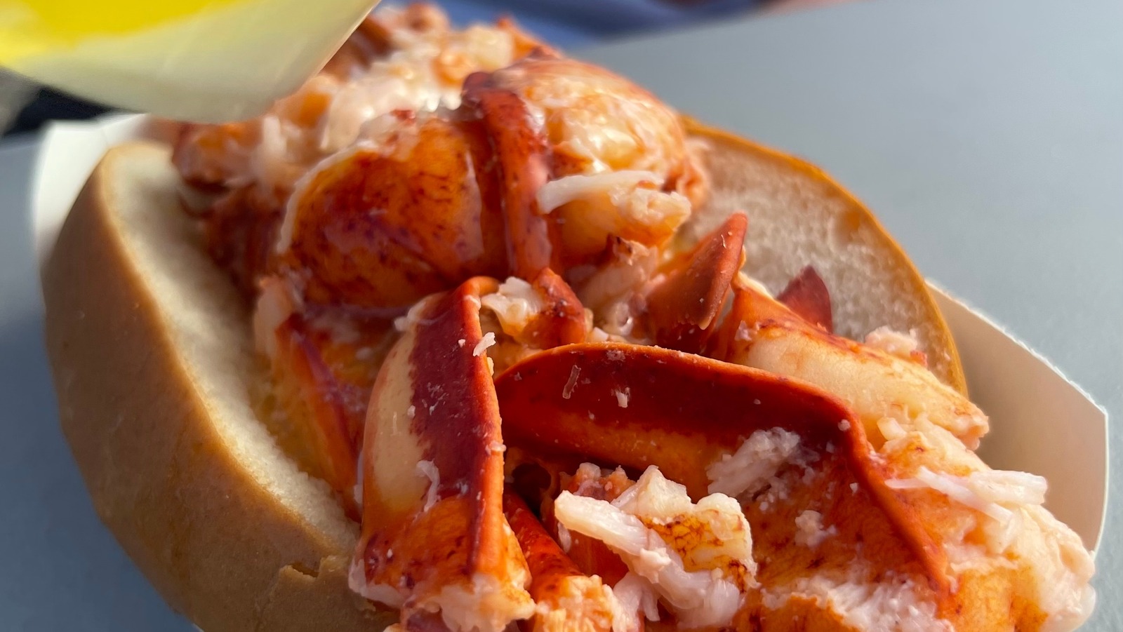 How To Store Lobster Meat After You Cook It, And How Long It'll Stay ...