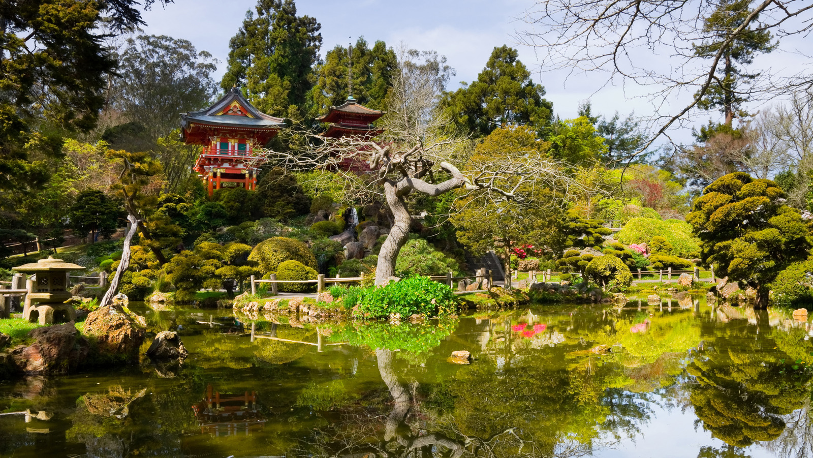 San Francisco Is Home To The Country's Oldest Tea Garden