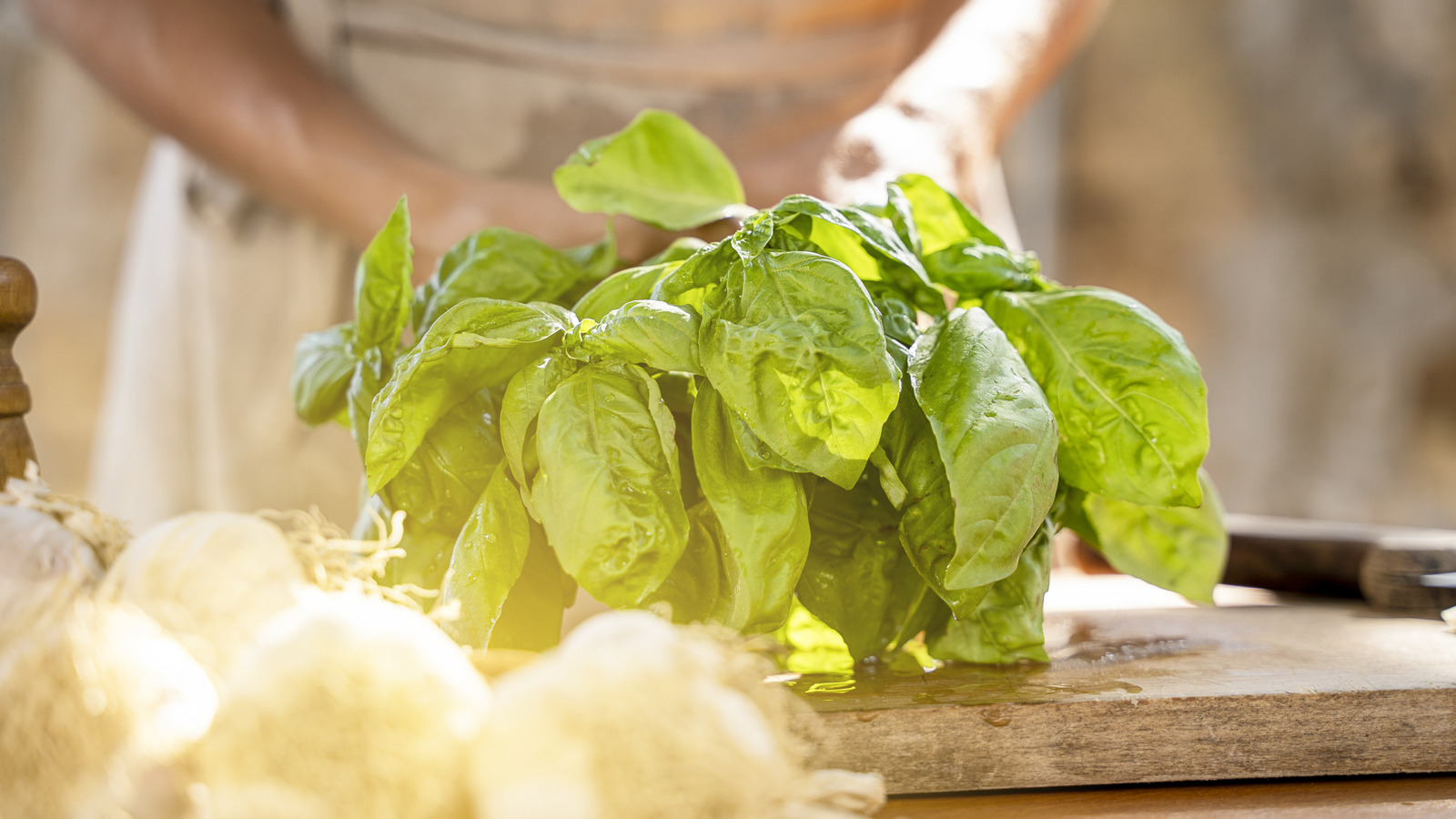 The Freshest Basil Comes From Liguria In Northern Italy