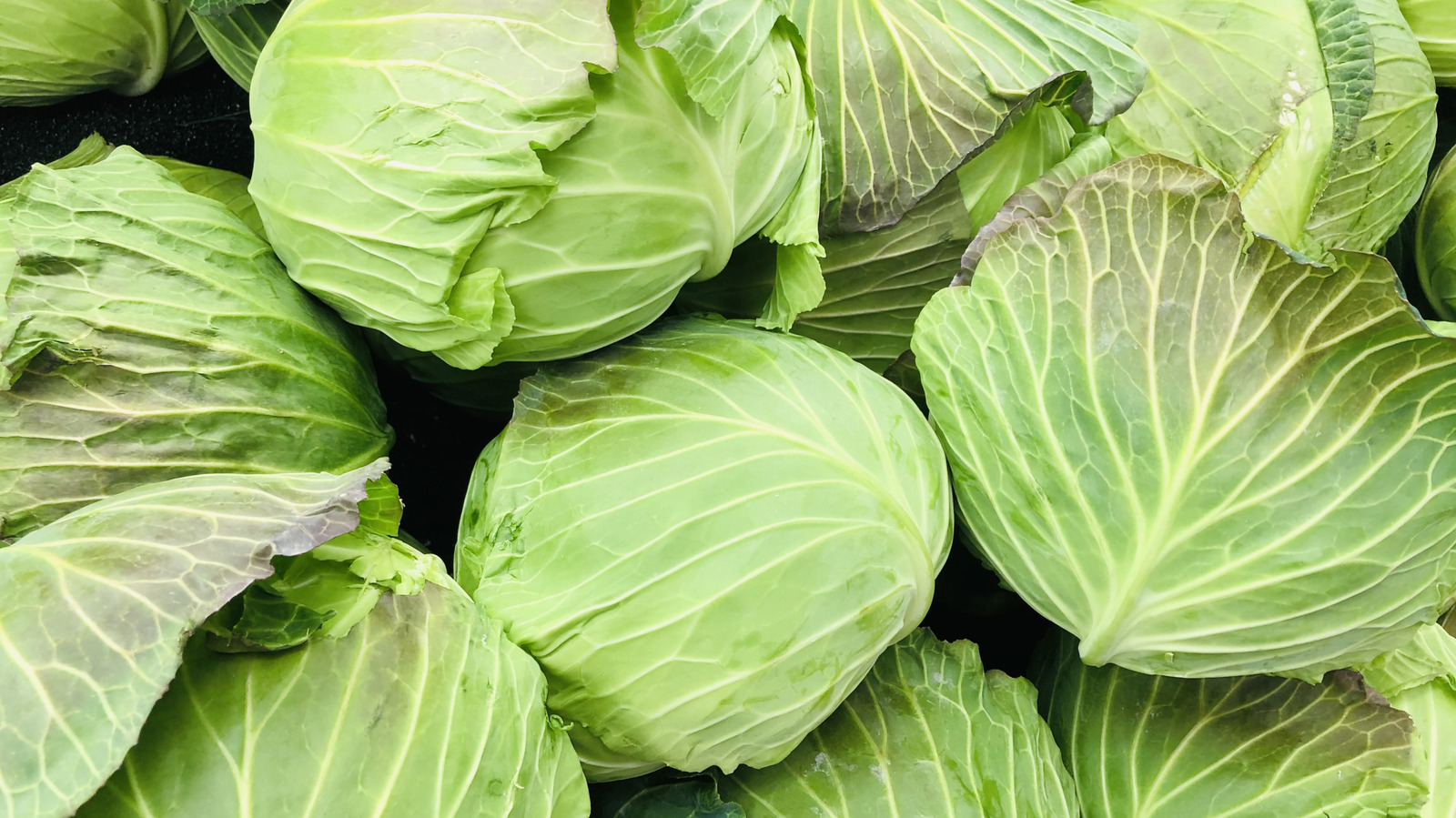 The Cabbage Preparation Method You Need To Avoid A Gassy Stomach