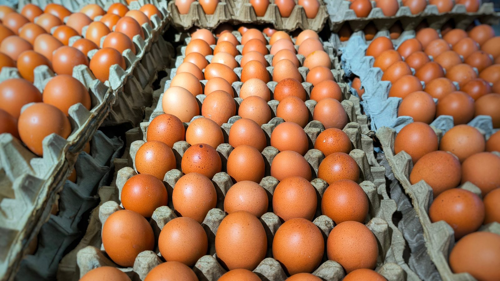 What Was The Largest Egg Recall In The US?