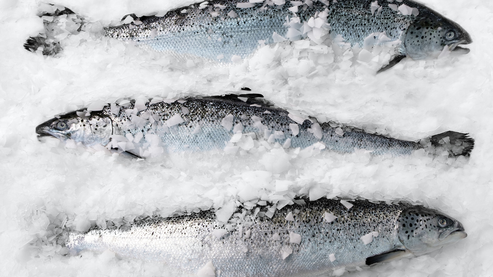 The Quickest Way To Thaw Fish From Frozen