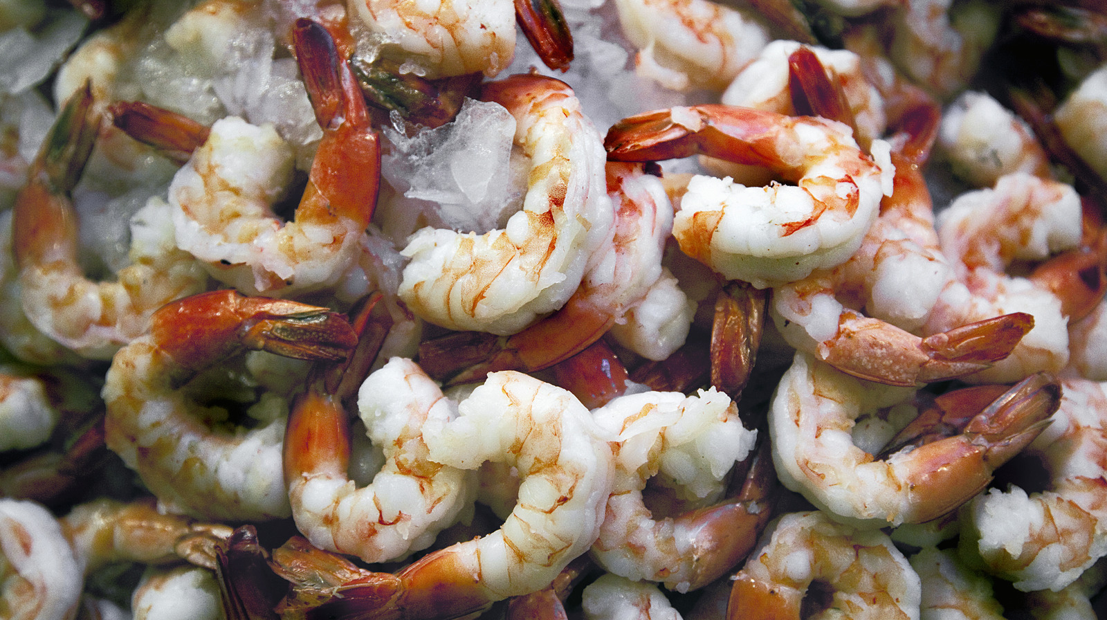 Give Shrimp A Dry Brine Every Time For The Best Results