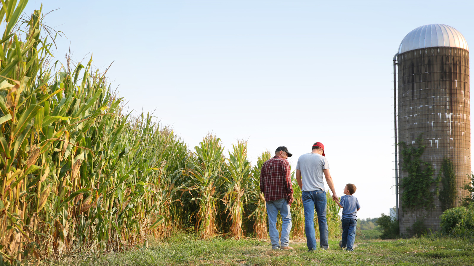 The US State That Produces The Most Corn