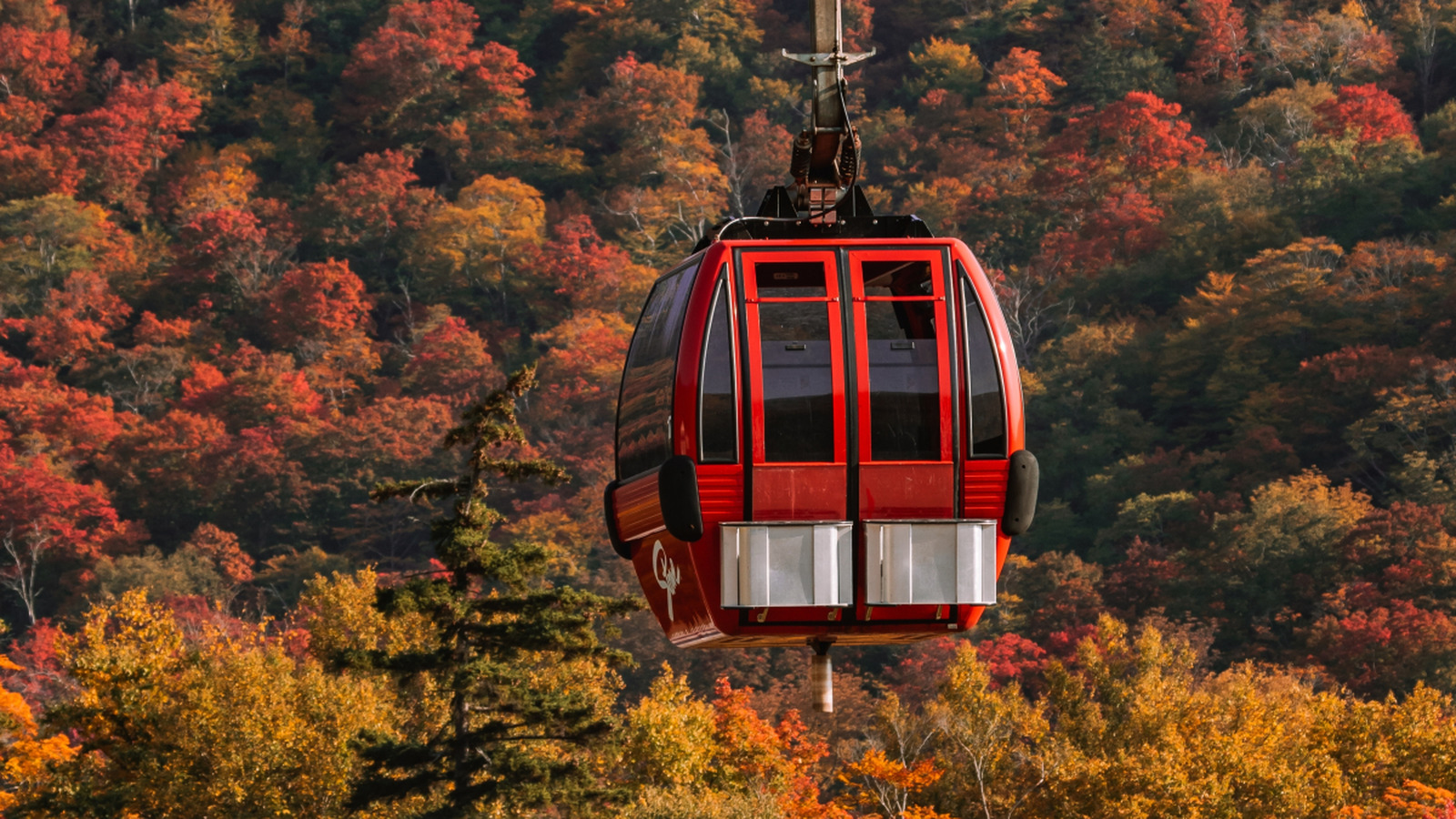 Cliff House In Vermont Takes A Gondola To Get To