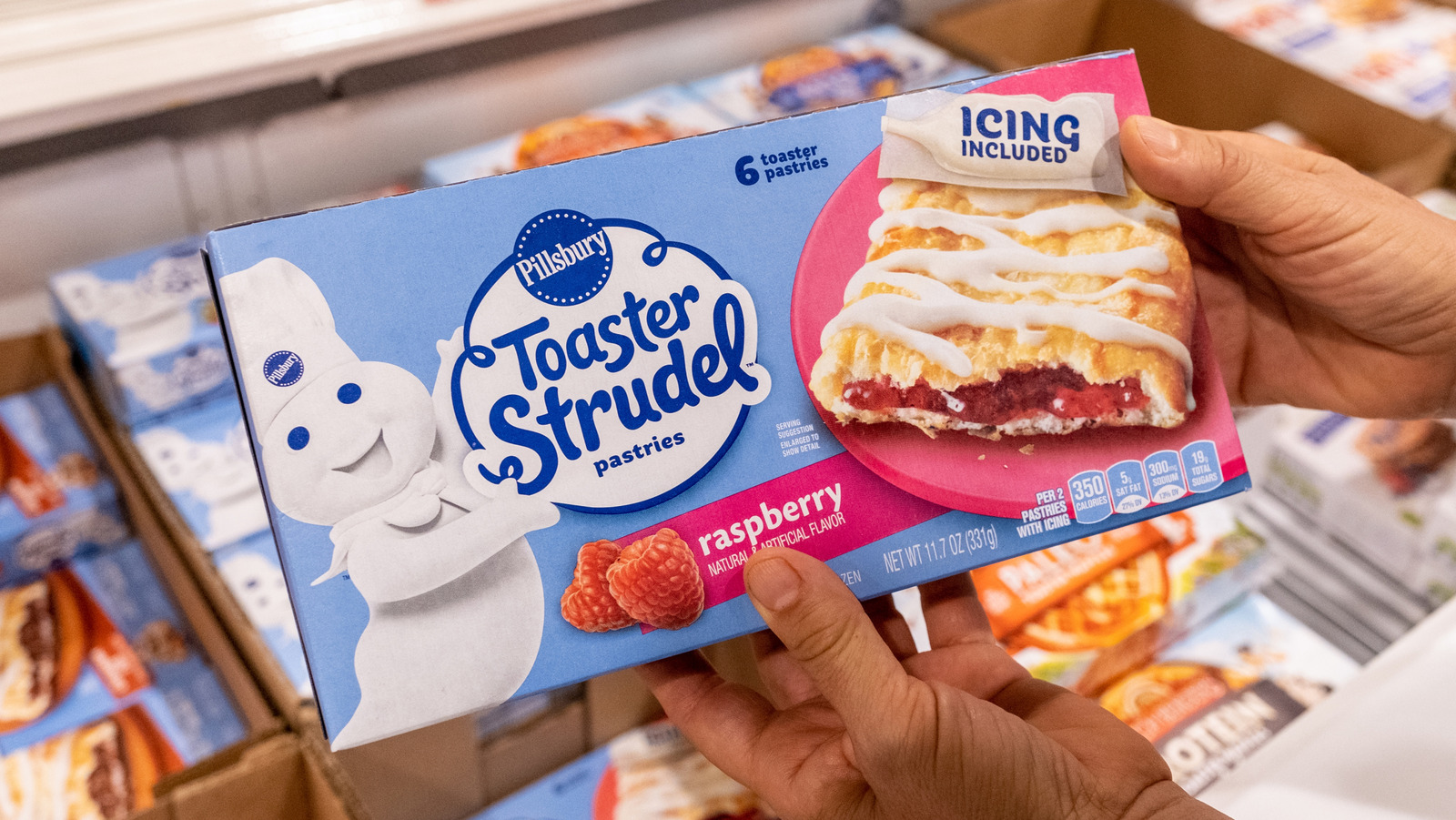 Toaster Strudel Inventor