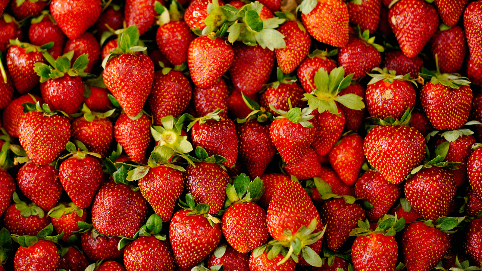 Here's Why Strawberries Aren't Technically Berries