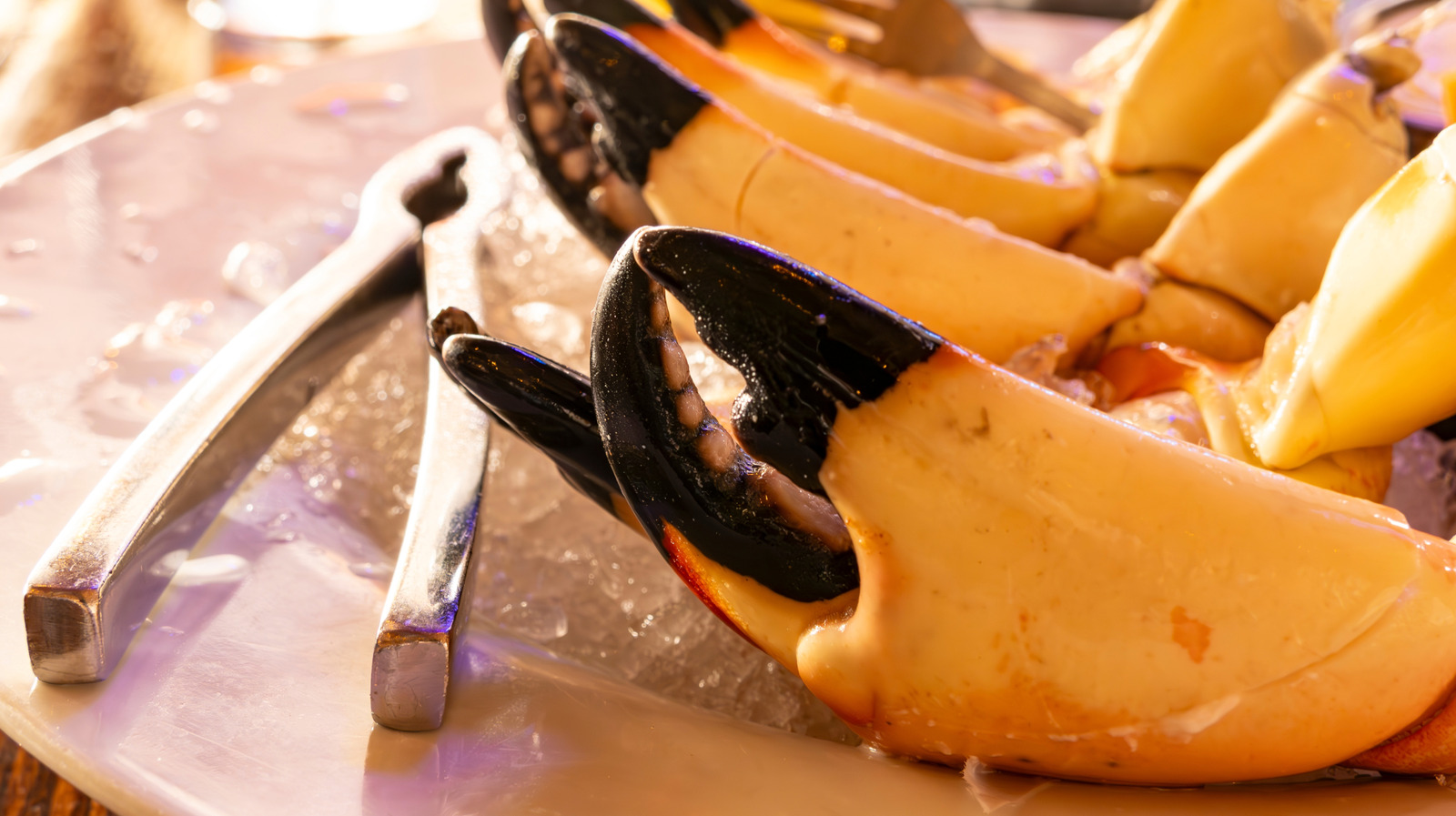 You May Want To Avoid Stone Crabs If They're On A Seafood Menu — Here's Why